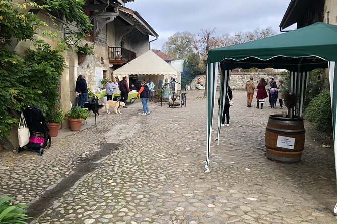 Geneva Countryside By E-Bike With Wine Tasting - An In-Depth Look at the Geneva Countryside E-Bike & Wine Tour