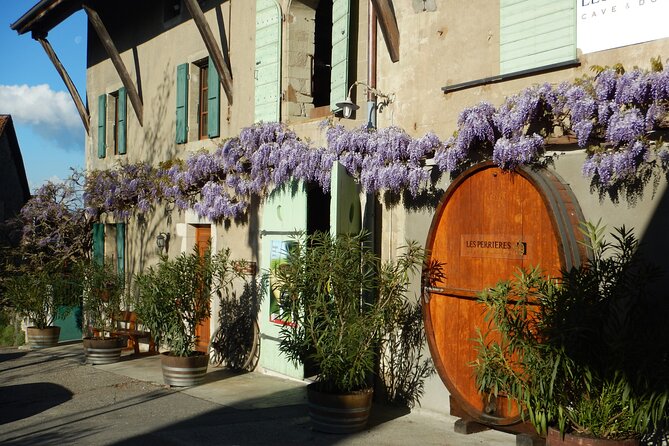 Geneva Countryside By E-Bike With Wine Tasting - Practical Details and Considerations