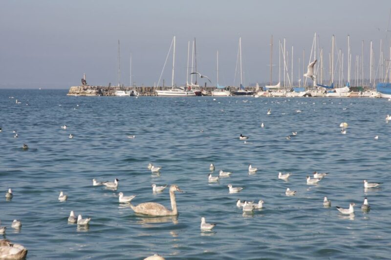 Geneva Discovery Walking Tour - Since You Asked