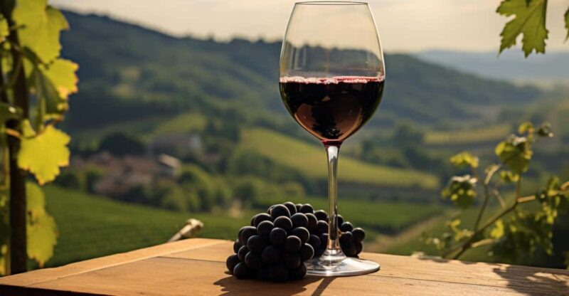 Geneva: Guided Wine Tour - Key Points