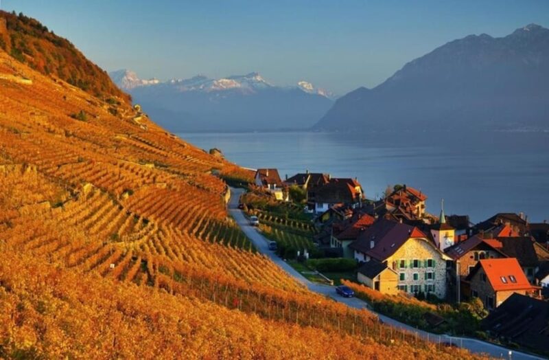 Geneva: Guided Wine Tour - Itinerary Highlights