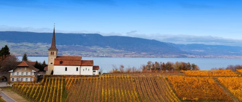 Geneva: Guided Wine Tour - Wine Experience
