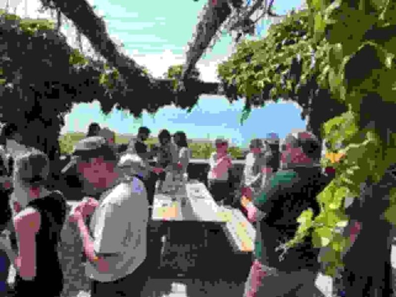 Geneva: Guided Wine Tour - Language and Cancellation Policy