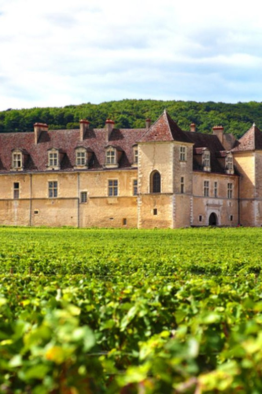 Geneva: Guided Wine Tour - Since You Asked