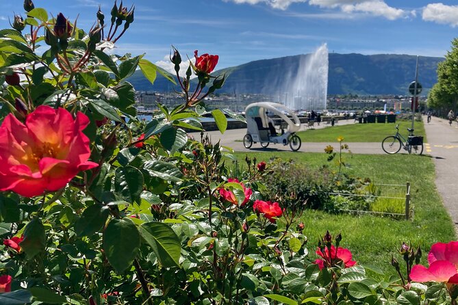 Geneva Highlights Tour by TaxiBike - FAQs
