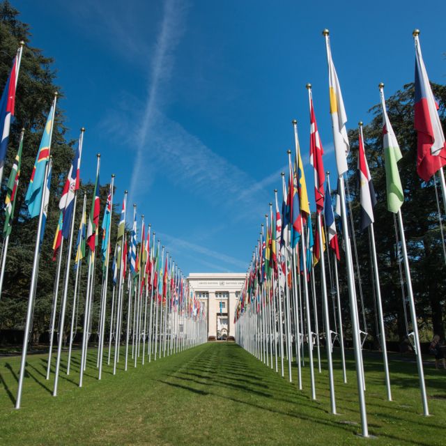 Geneva: Hop-on Hop-off Sightseeing Bus and Mini-Train Tour - Tour Highlights