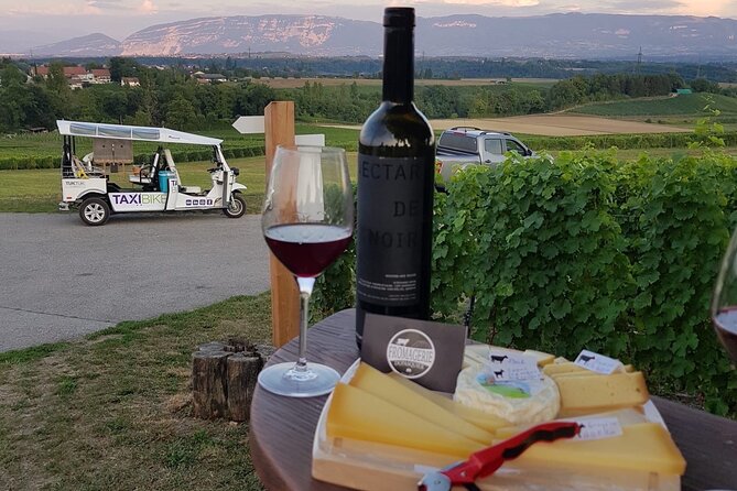 Geneva Panoramic & Tasting Vineyards Tour in an Tuk Tuk - Accessibility and Participation