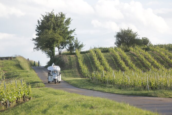 Geneva Panoramic & Tasting Vineyards Tour in an Tuk Tuk - Personalized Local Guidance