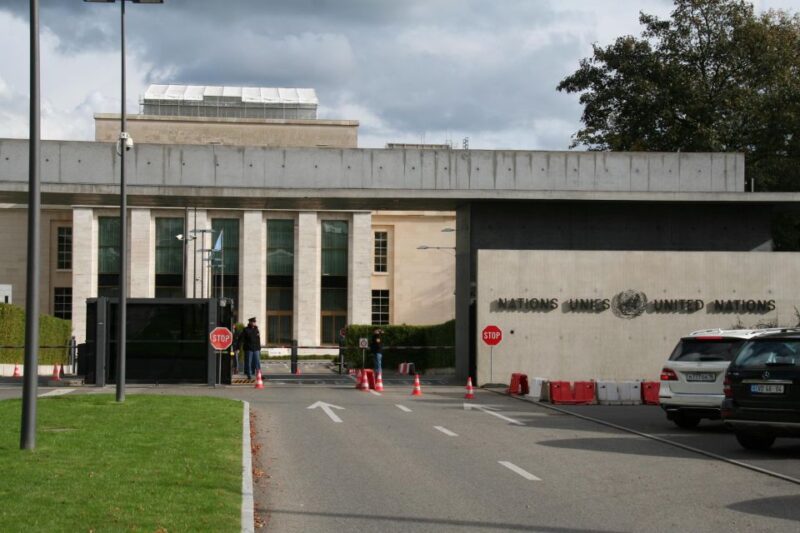 Geneva: Private Walking Tour With a Local Guide - Important Information