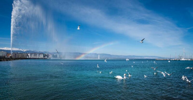 Geneva: Scenic Lake Cruise With Snacks and Wine - Meeting Point and Directions