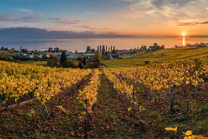 Geneva to Lausanne, Montreux and Château Chillon Private Tour - FAQs