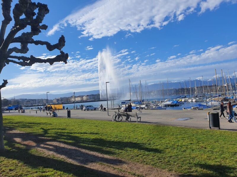 Geneva: United Nations, Old Town and Lake E-Bike Tour - Inclusions and Restrictions