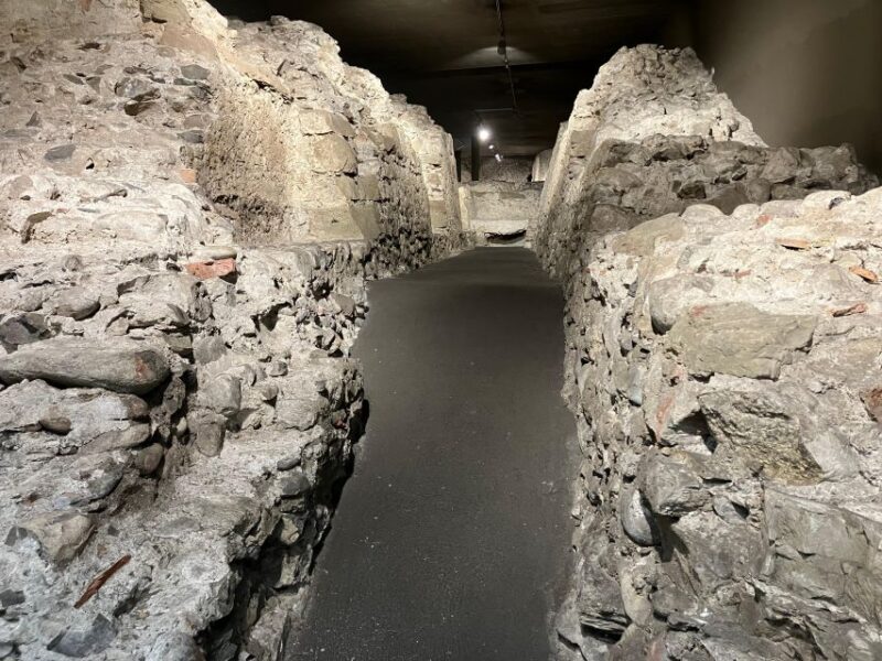 Geneva: United Nations, Old Town and Lake E-Bike Tour - Since You Asked