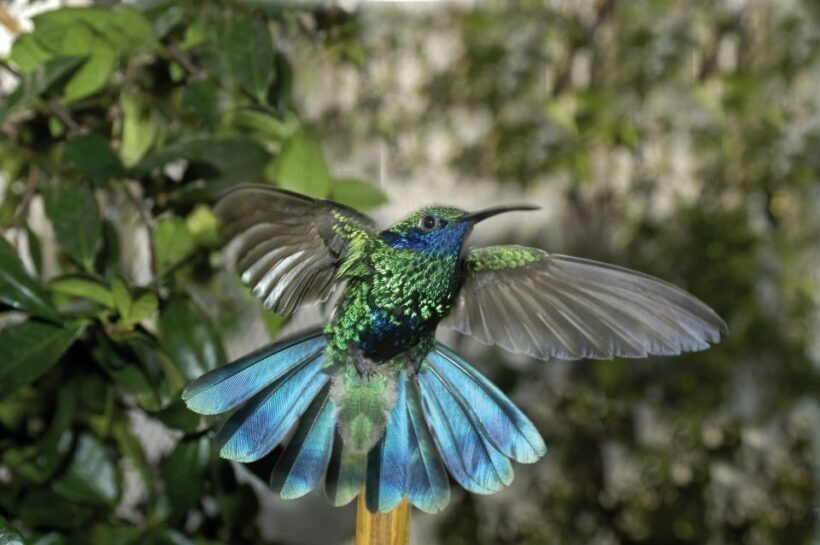 Genoa: Biosfera Entrance Ticket - Discovering the Biosfera: A Closer Look