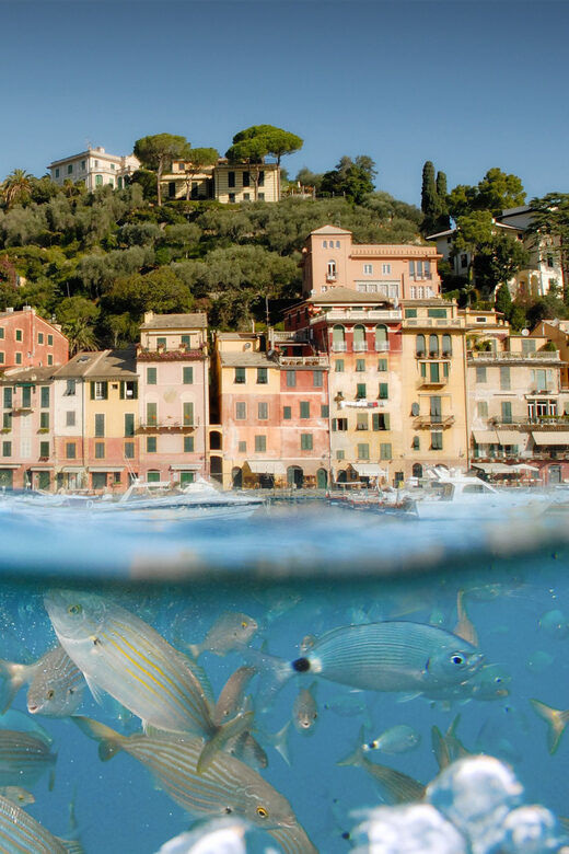 Genoa: Half-Day Tour to Portofino - Key Points