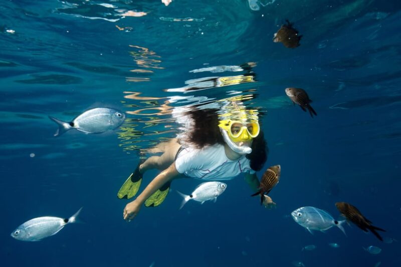 Genoa: snorkeling a stone's throw from downtown - What’s Included and What’s Not