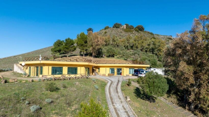 Genoni: discover the Giara Park - The Overall Experience and Value