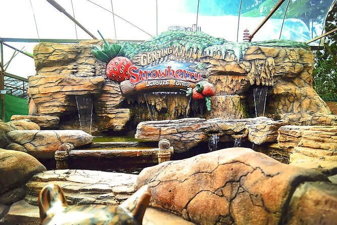 Genting Tour & Batu Caves Tour Include 2-way Cable Car Ride - Strawberry Leisure Farm: A Fresh Break