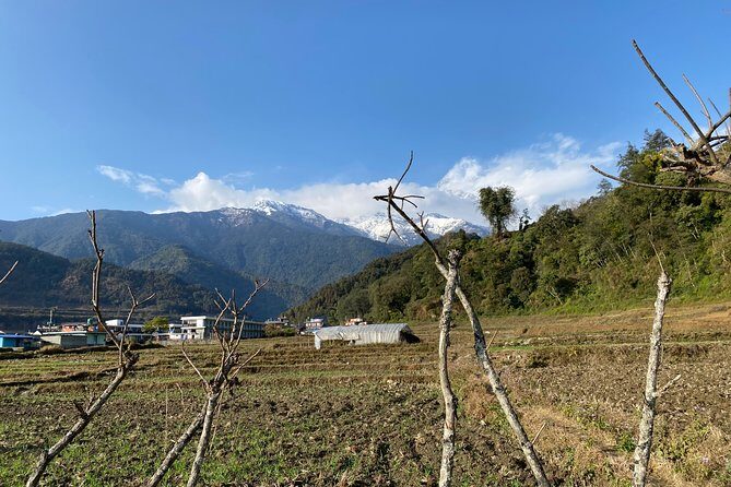 Gentle Walking Tour to Explore Nature in Pokhara - FAQ