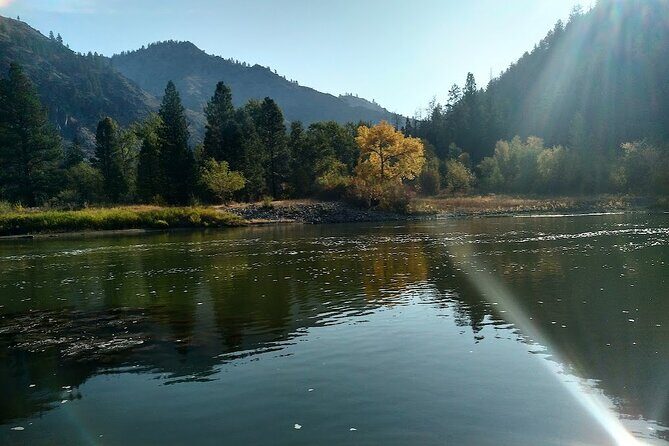 Gentle Whitewater Float on the Salmon River - Authentic Experiences from Reviews