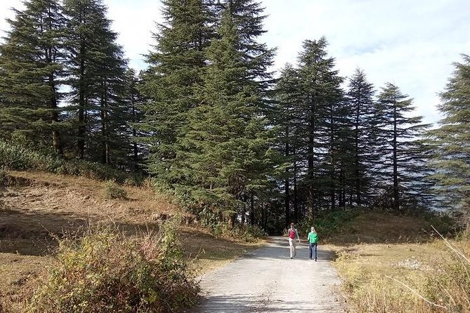 George Everest Nature Walk | Mussoorie - What’s Included and What’s Not?