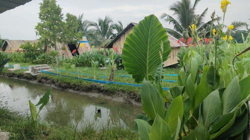 George Town: Balik Pulau Countryside Morning Cycling Tour - What’s Included & Practical Details