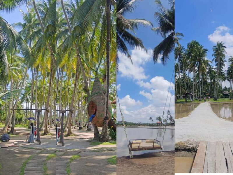 George Town: Penang Customizable Private Tour - Food: Sampling Malaysia’s Three Main Ethnic Cuisines