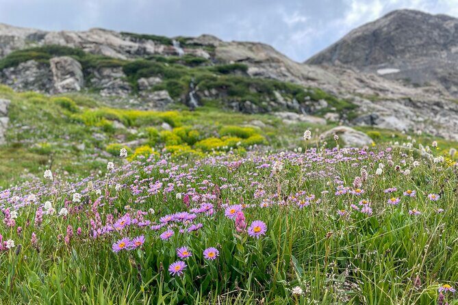 Georgetown via Guanella Pass Private Colorado Adventure Tour - What We Like About the Experience