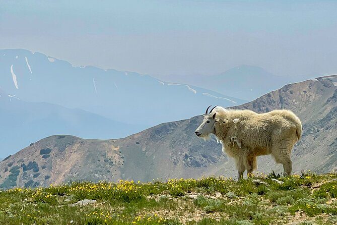 Georgetown via Guanella Pass Private Colorado Adventure Tour - Who Will Love This Tour?