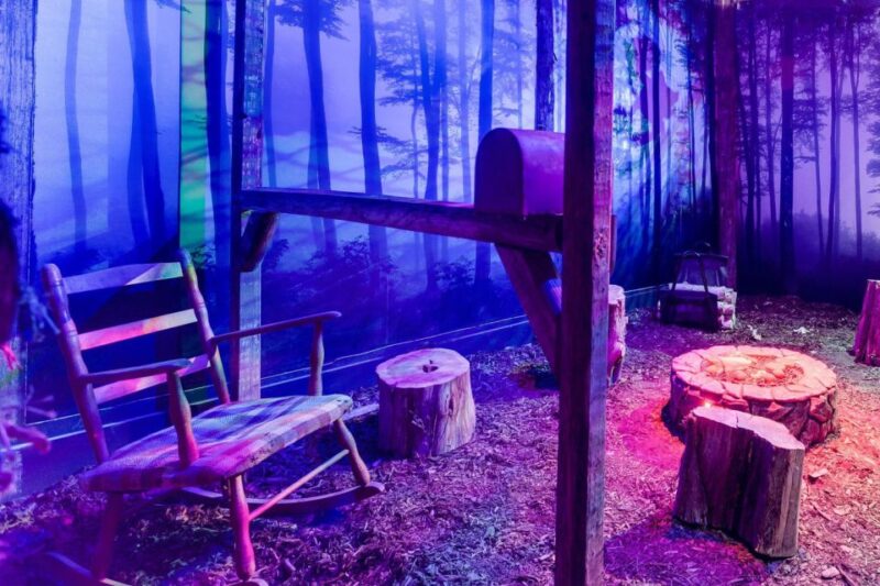 Georgetown, Washington DC: Escape Room Adventure - What to Expect at the Escape Room DC in Georgetown