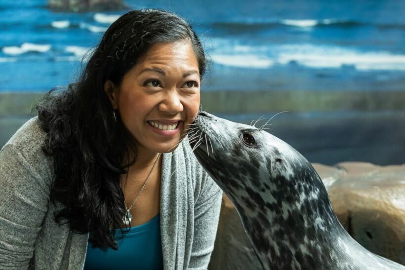 Georgia Aquarium: Sea Lion Encounter - Introduction