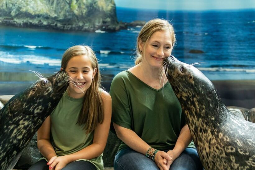 Georgia Aquarium: Sea Lion Encounter - Key Points