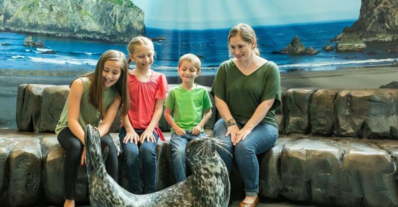 Georgia Aquarium: Sea Lion Encounter - The Itinerary and What Makes It Special