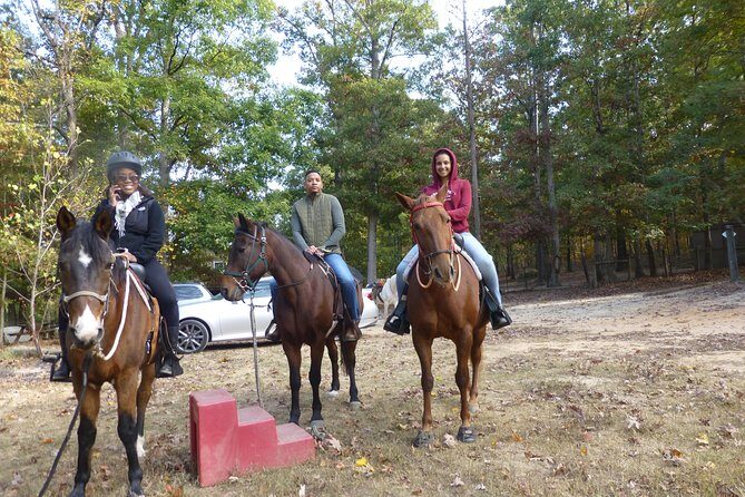 Georgia Horseback Ride with Wine Tasting - Introduction
