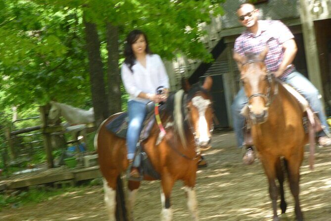 Georgia Horseback Ride with Wine Tasting - What the Reviews Say