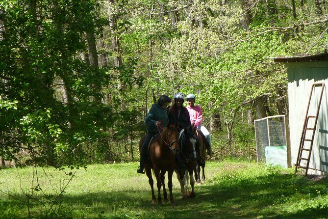 Georgia Horseback Ride with Wine Tasting - Practical Tips for Travelers