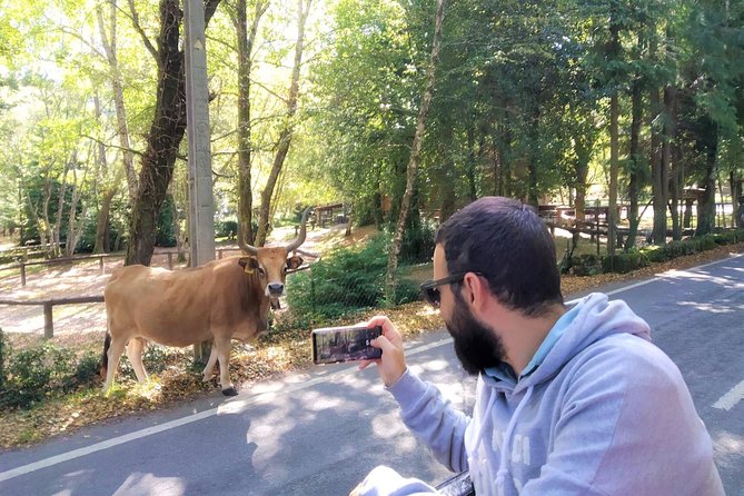 Gerês Private Tour (All Inclusive) - Who Will Love This Tour?