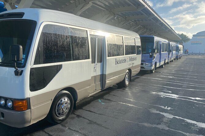 German/English Island Tours with conch fritter tasting - What the Tour Offers