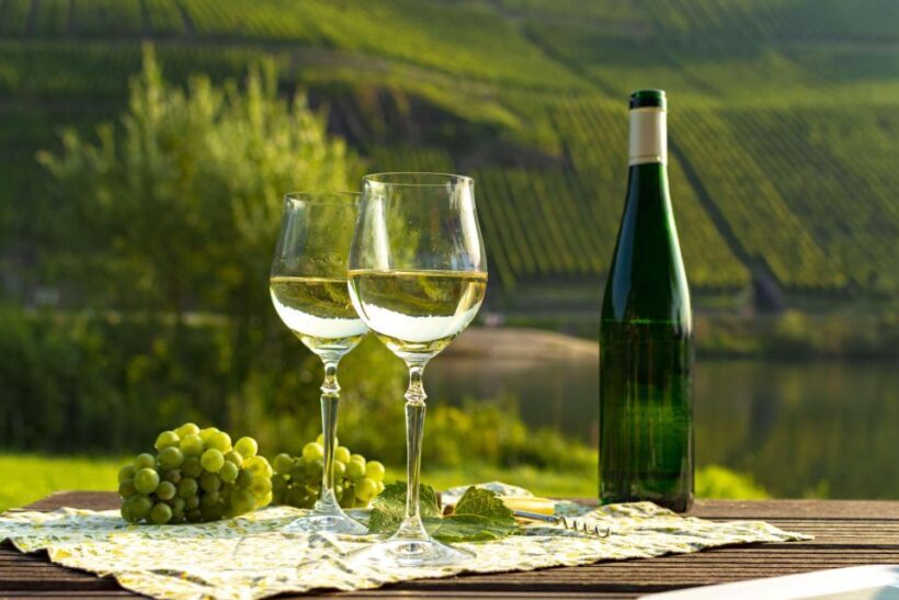 German Wine Self-Guided Tour in Munich's Old Town Wine Bars - The Wines and Food