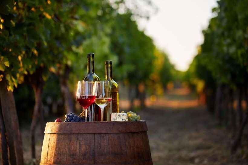 German Wine Self-Guided Tour in Munich's Old Town Wine Bars - Final Thoughts