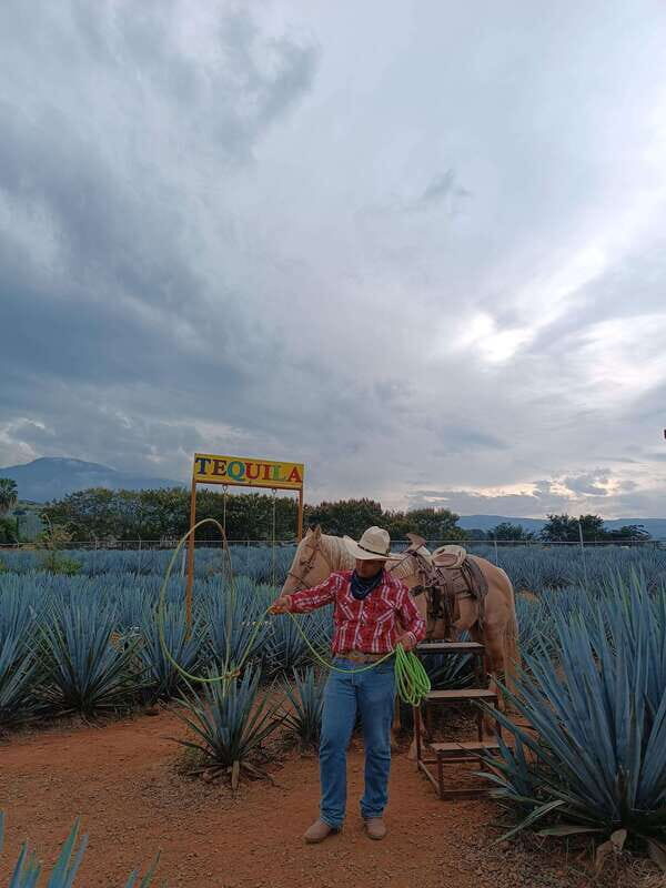 Get on Chile: know everything about tequila in "La Rienda" - An Authentic Journey Into Tequila