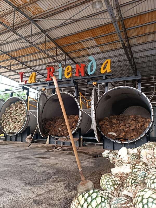 Get on Chile: know everything about tequila in "La Rienda" - Authenticity and Value