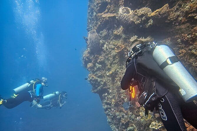 Get SSI Nitrox Certified Includes 2 Liberty Wreck Dives - What to Expect from the Course