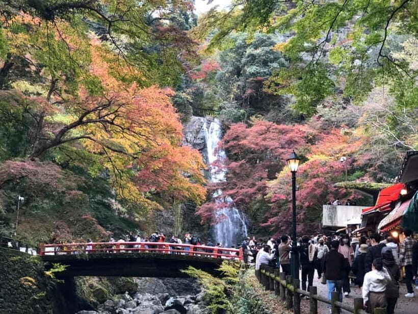 Get to know Minoo from Osaka. Katsuoji Temple, Ryuanji Waterfall and Ryuanji Temple - Overall Value and Experience