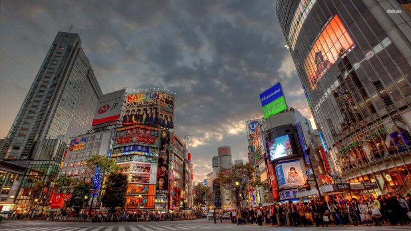 Get to know Shinjuku (nightlife optional) - Shopping District: More Than Just Retail Therapy