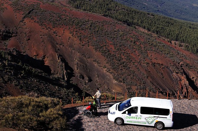 Get to Know the Teide National Park and the North of Tenerife on a Private Tour - Customer Feedback and Ratings