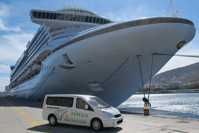 Get to Know the Teide National Park and the North of Tenerife on a Private Tour - Efficiency and Time Management