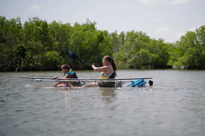 Get Up And Go Kayaking - New Smyrna Beach - Why This Tour Excels