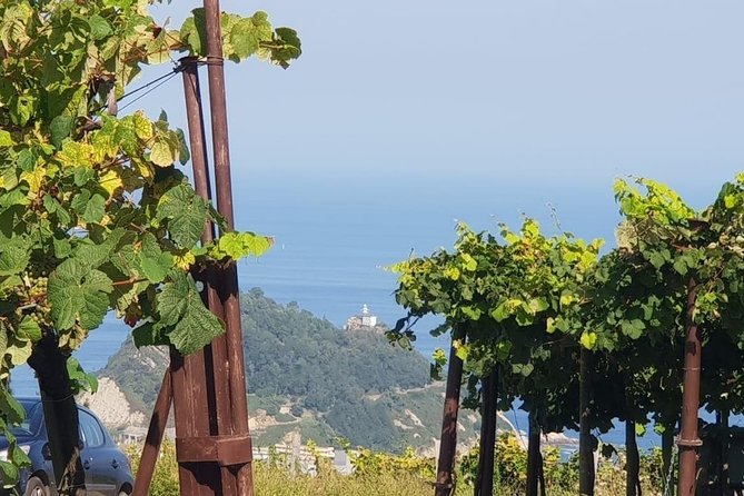 Getaria Txakoli Wine Tour Review - Positive Guest Experiences