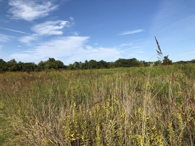 Gettysburg: Beer, Wine, and History Guided Walking Tour - Final Word